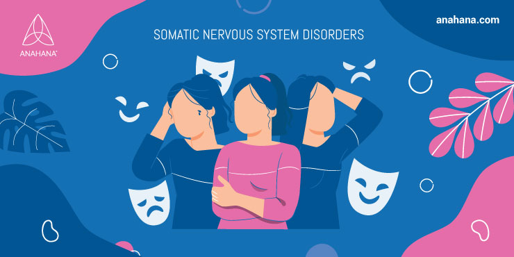 Somatic Nervous System - Functions, Definition Psychology, Examples