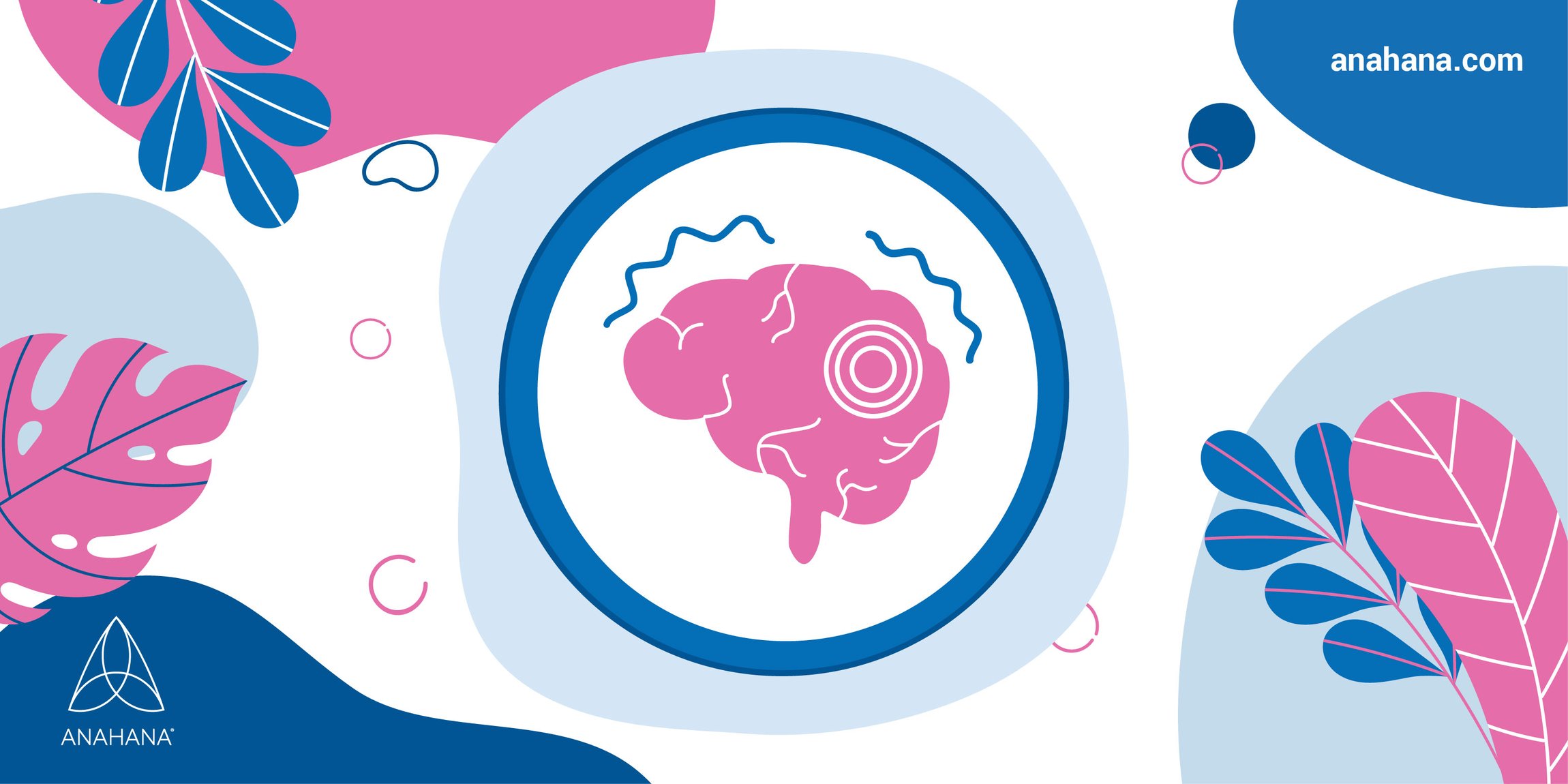 Somatic Nervous System - Functions, Definition Psychology, Examples